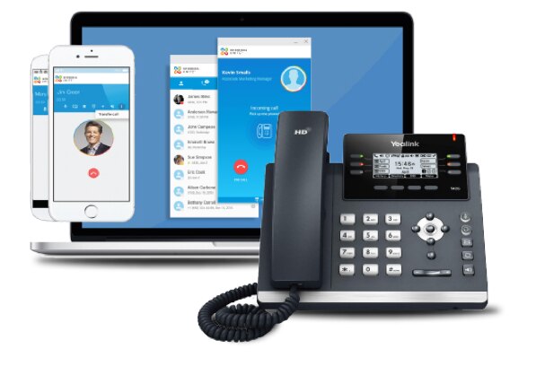 Business Phone Services | Costco